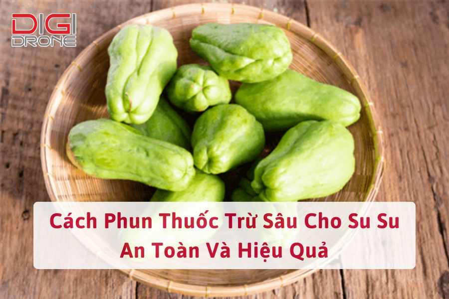 Cách Phun Thuốc Trừ Sâu Cho Su Su An Toàn Và Hiệu Quả