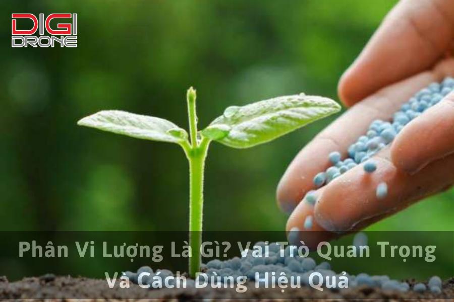 Phân Vi Lượng Là Gì? Vai Trò Quan Trọng Và Cách Dùng Hiệu Quả