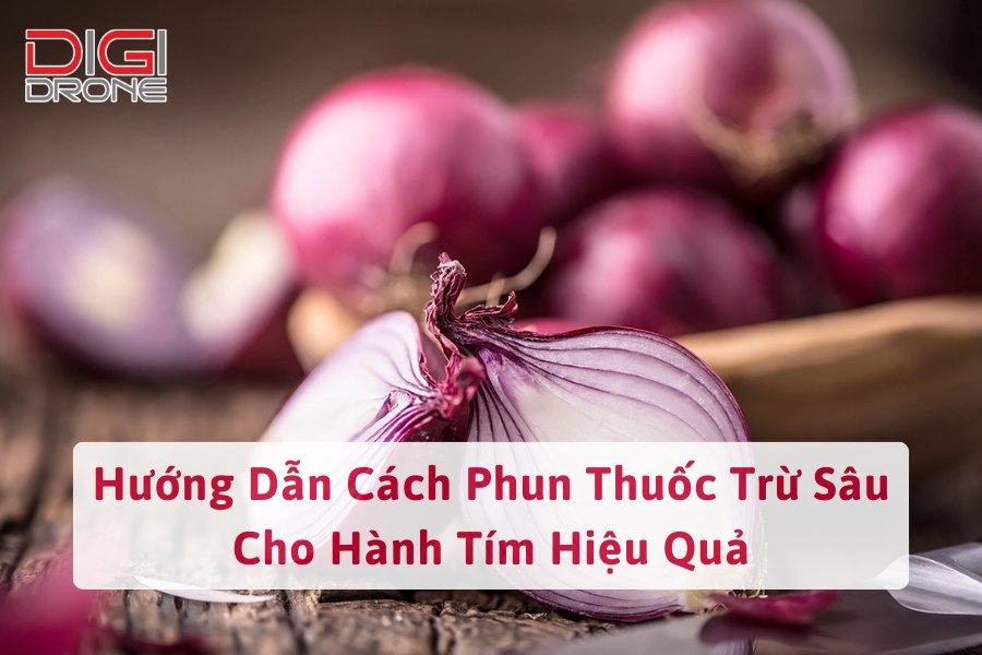 Hướng Dẫn Cách Phun Thuốc Trừ Sâu Cho Hành Tím Hiệu Quả