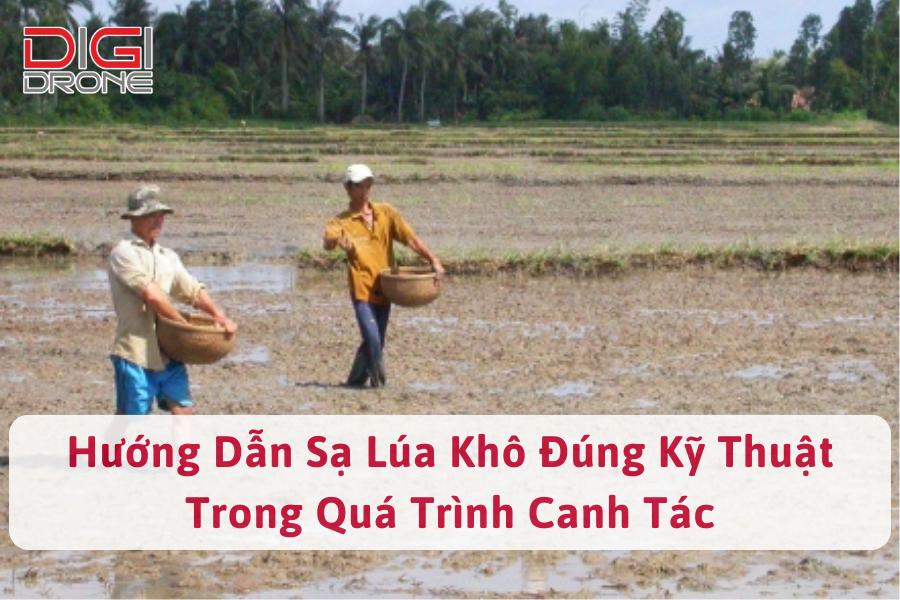 Hướng Dẫn Sạ Lúa Khô Đúng Kỹ Thuật Trong Quá Trình Canh Tác